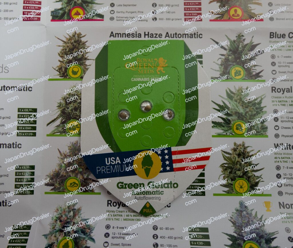 GREEN GELATO AUTOMATIC 女性化种子 – Japan Drug Dealer